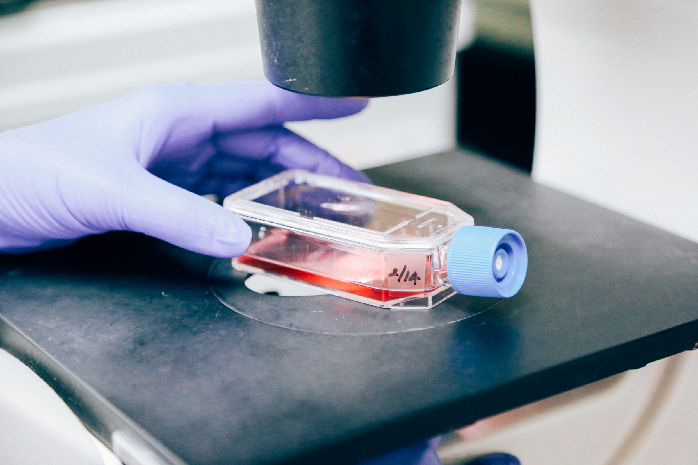 Laboratories – Ophthalmology and Visual Sciences – UW–Madison